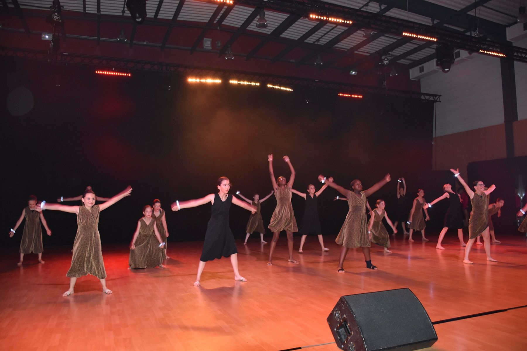 Magnifique gala de danse de l’ACLS sur le thème des supers héroïnes ! - Mairie de Quincy-Voisins ...