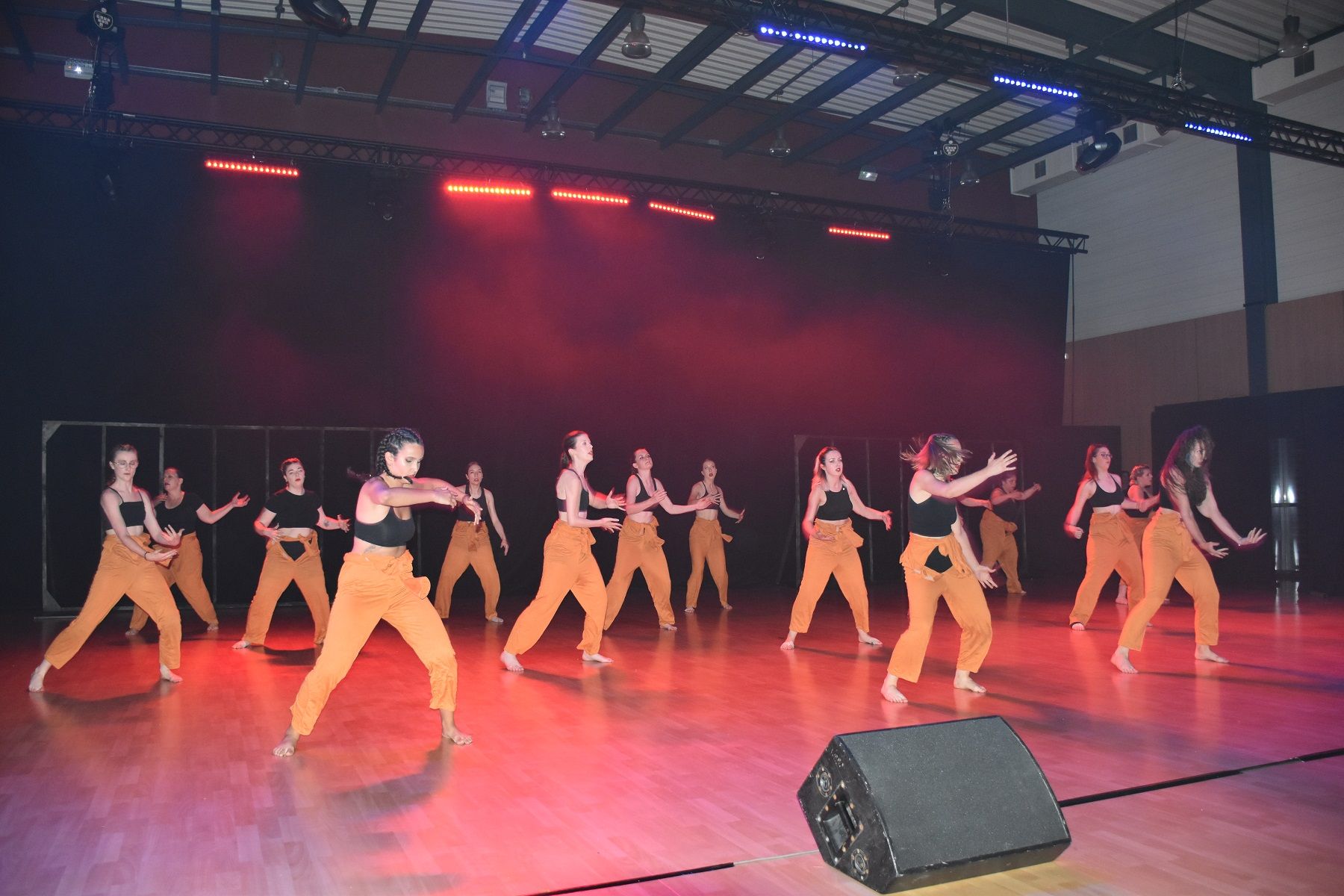 Magnifique gala de danse de l’ACLS sur le thème des supers héroïnes ! - Mairie de Quincy-Voisins ...